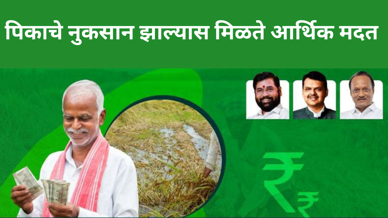 Pradhanmantri Pik Vima Yojana 2024 In Marathi : पीक विमा योजना 2024 ...
