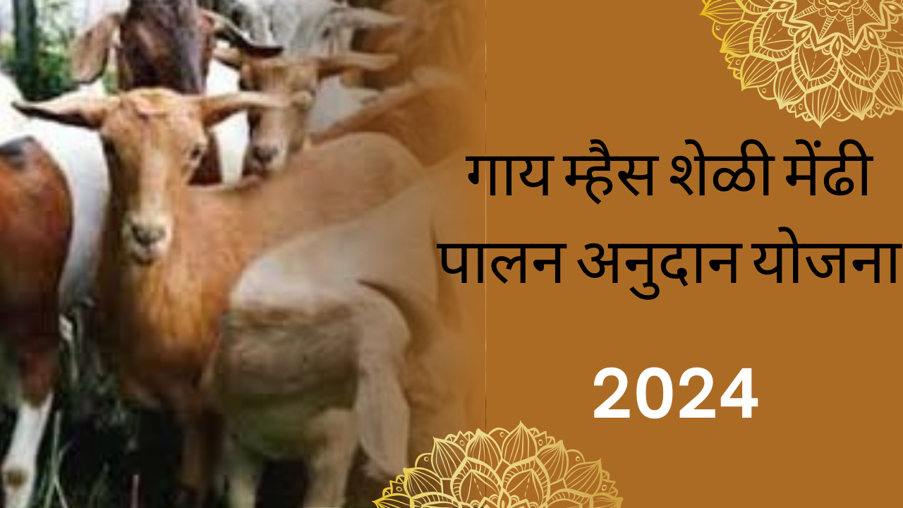 Gai Mhais Sheli Mendhi Palan Anudan Yojana 2024 In Marathi ...