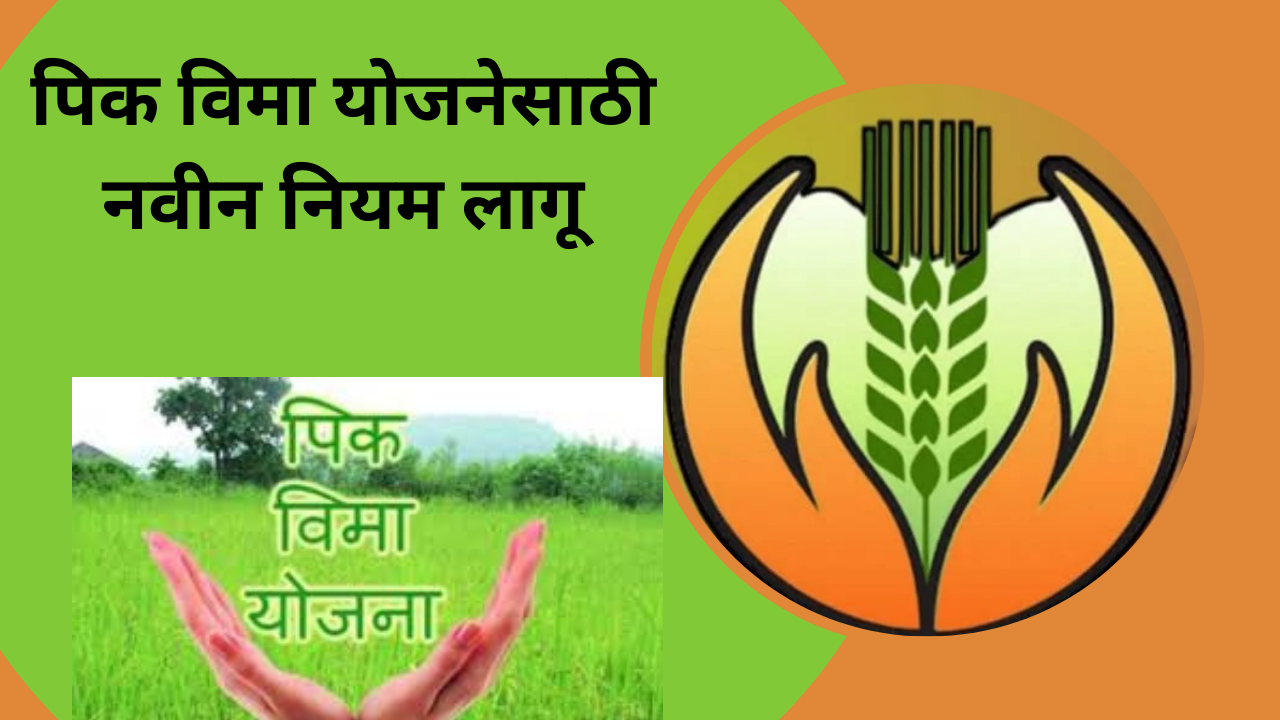 Sudharit Pik Vima Yojana 2025 In Marathi : पिक विमा साठी नवीन नियम लागू ...